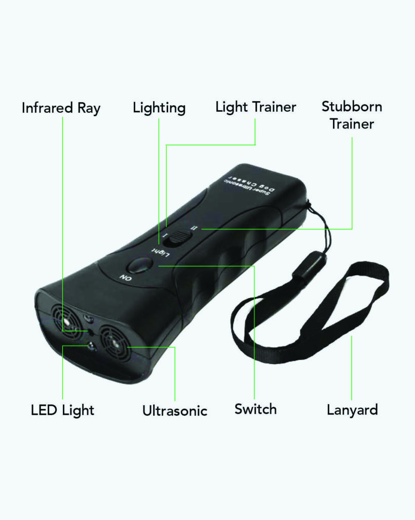 Review: Why The BarxBuddy Training Device Is Our Favorite Dog Training ...
